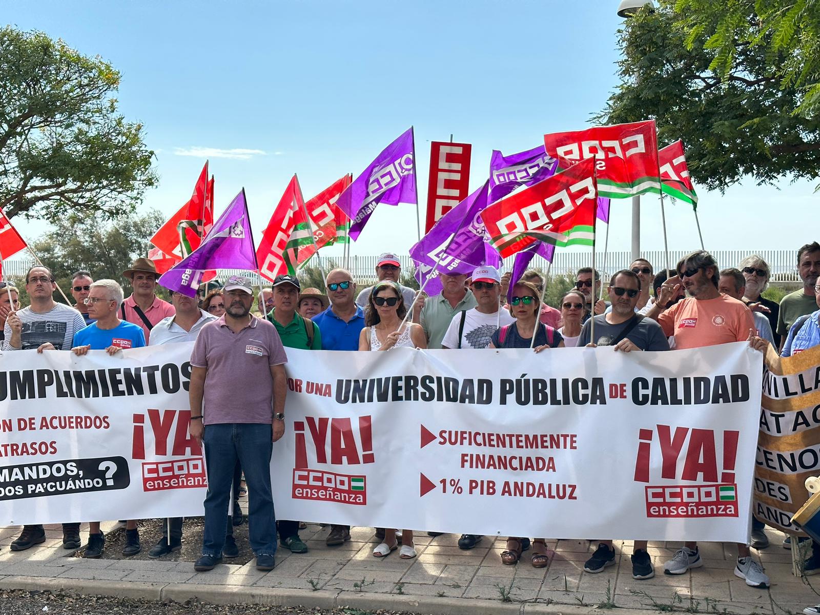 SOBRE EL “COMPLEMENTO ART. 8 PORHUMA” – CCOO Universidad de Málaga